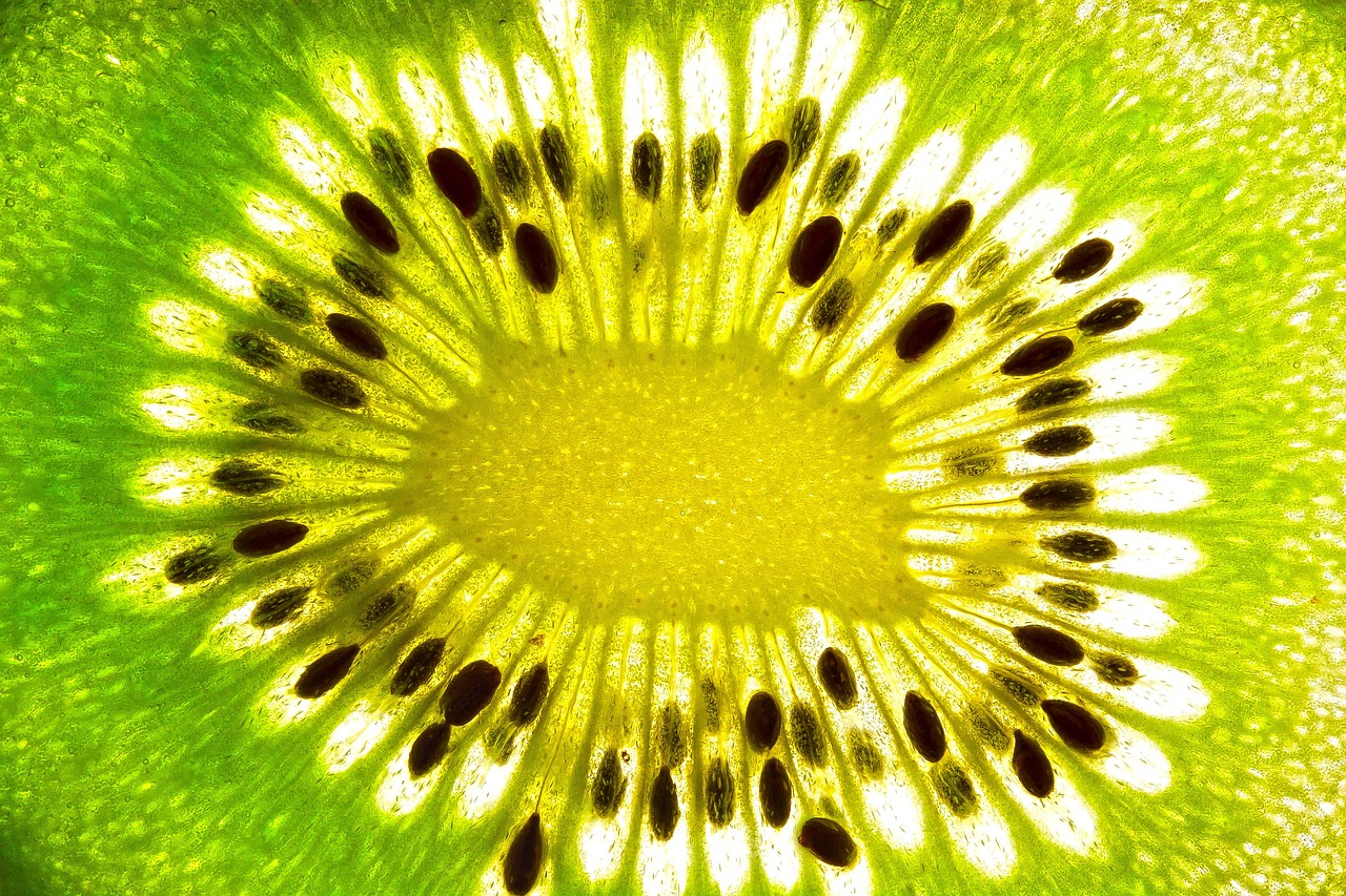 900+ Free Kiwi & Fruit Photos - Pixabay