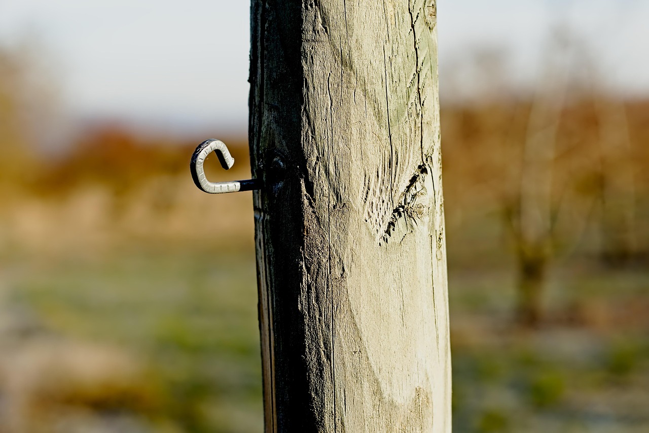 Nail Hook Wood - Free photo on Pixabay - Pixabay