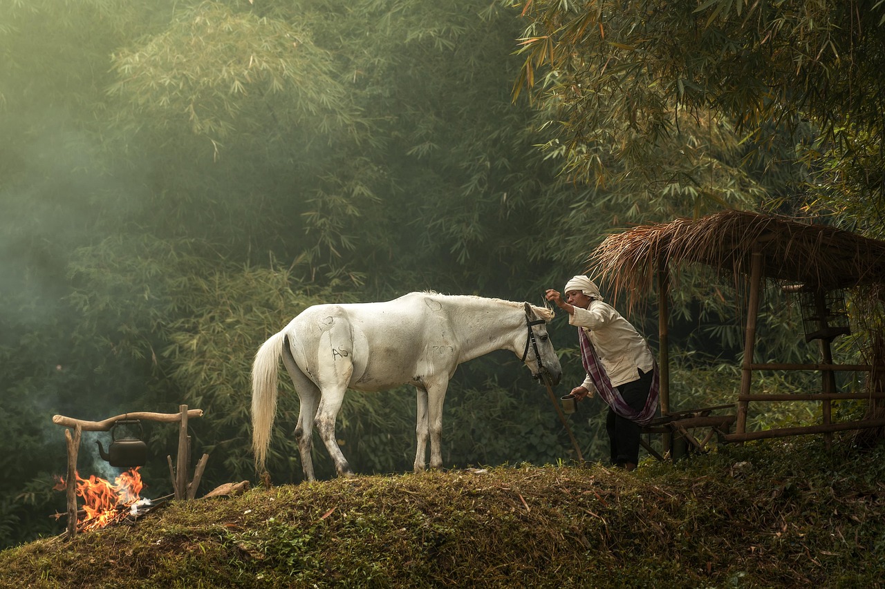 Village Asian People - Free photo on Pixabay