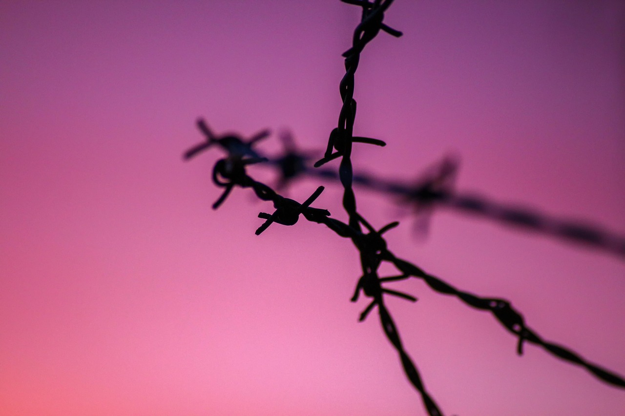 Barbed Wire Backlighting Mood - Free photo on Pixabay