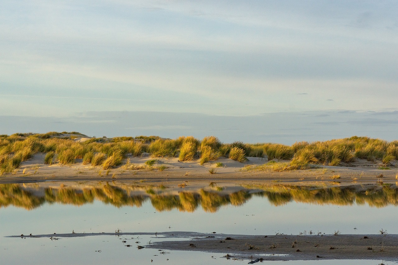 100+ kostenlose Norderney und Nordsee-Bilder - Pixabay