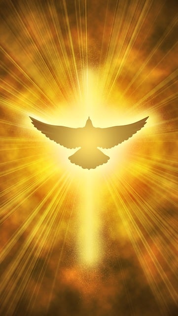 Holy Spirit Dove On Jesus