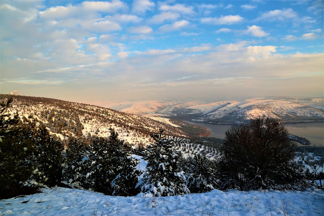 Snow Winter View - Free photo on Pixabay
