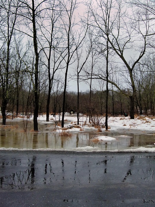 Flood Snow Winter - Free photo on Pixabay - Pixabay