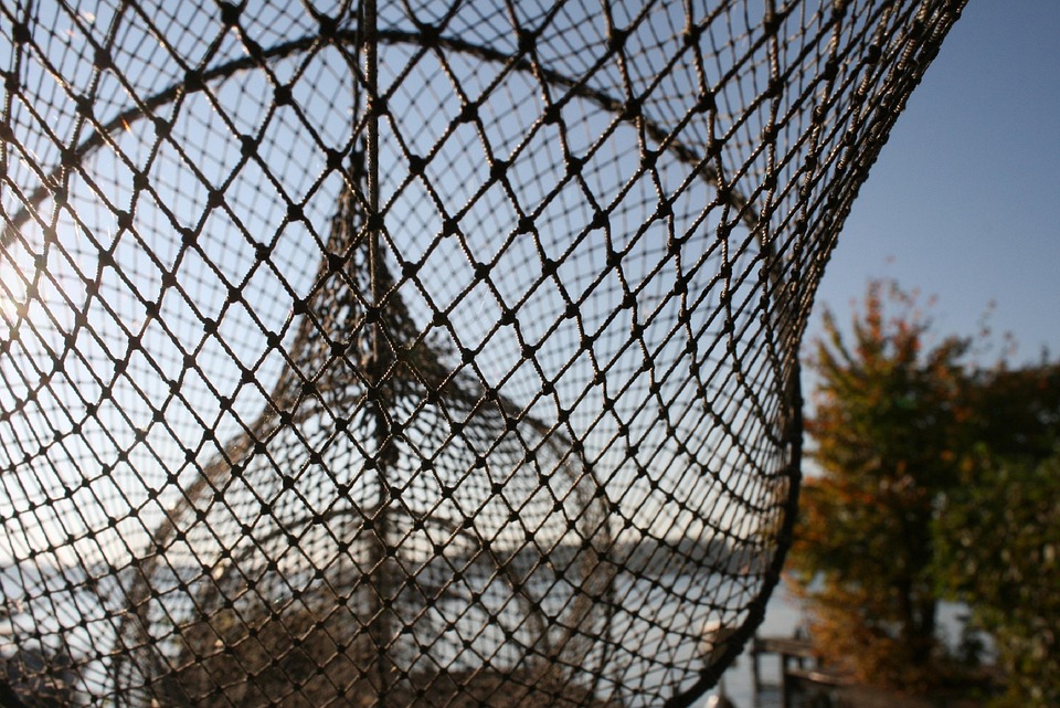 Fischernetz Netz Fischerei - Kostenloses Foto auf Pixabay