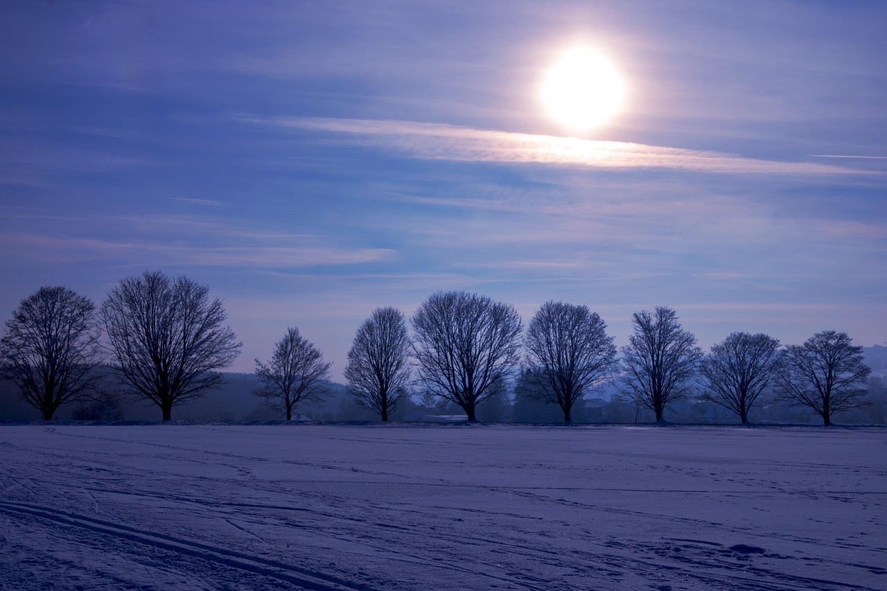 Winter Landscape Sun - Free photo on Pixabay