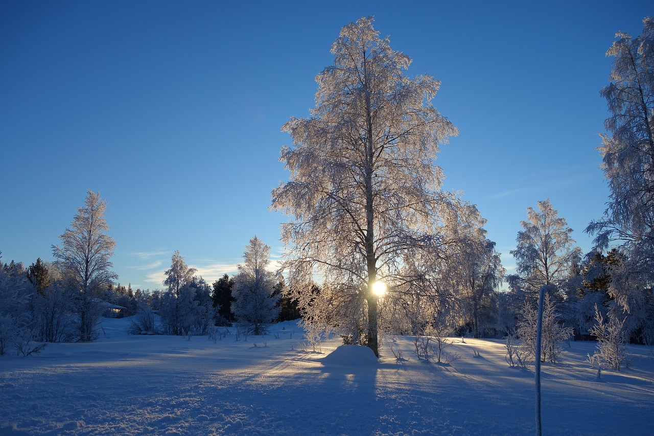 500+ Free Lapland & Finland Images - Pixabay