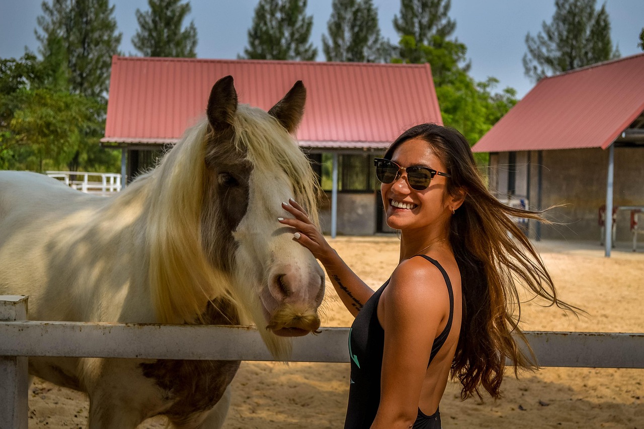 Horse Country Animal - Free photo on Pixabay - Pixabay