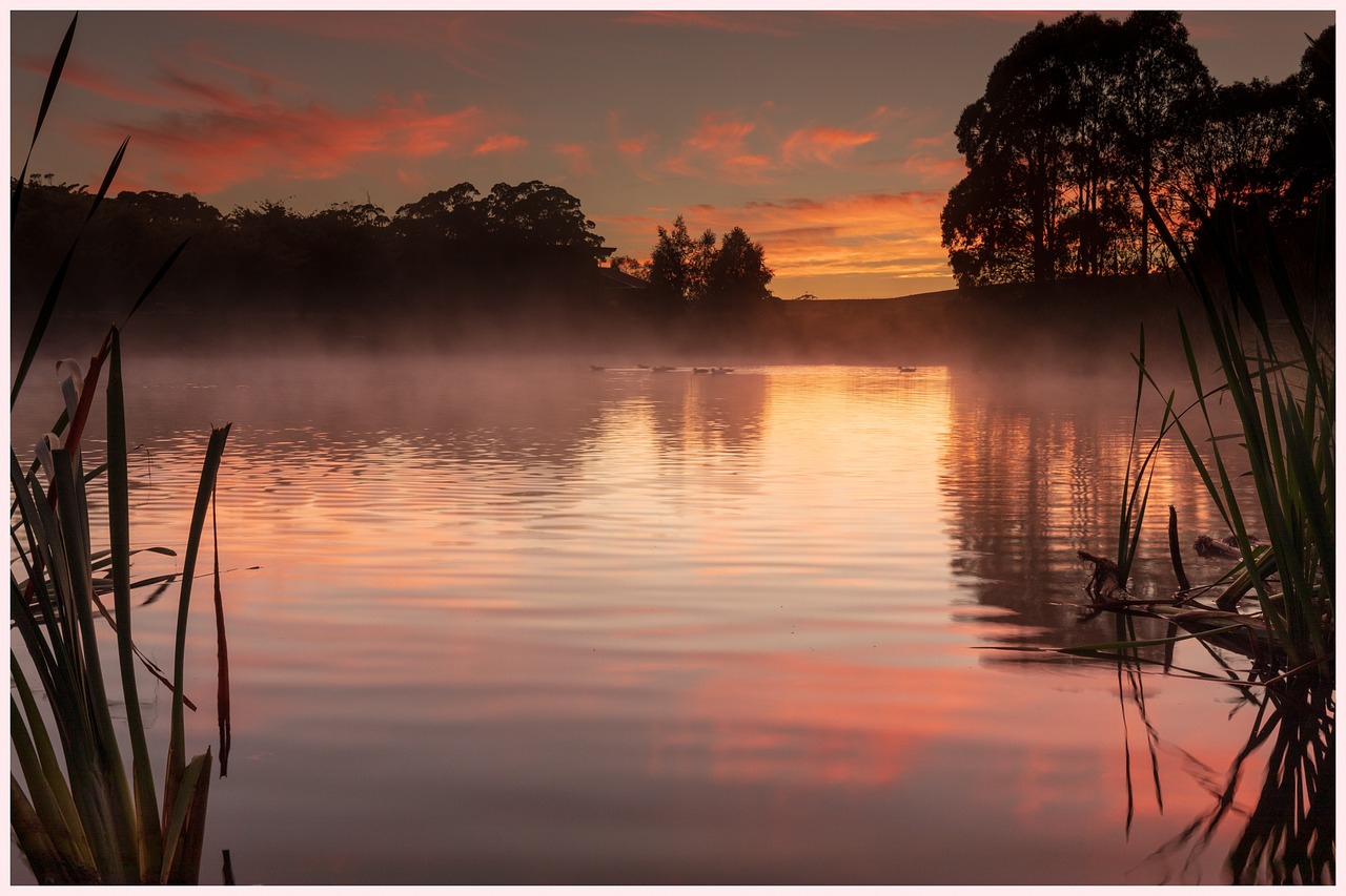 400+ Free Tasmania & Australia Images - Pixabay