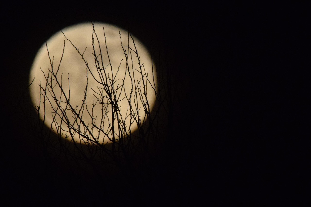 Moon Full Moonlight - Free photo on Pixabay