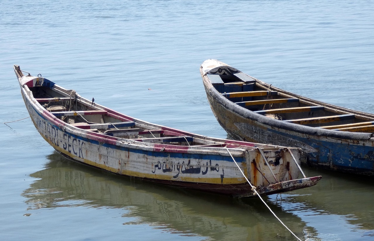 Plus de 100 images de Senegal et de Sénégal - Pixabay