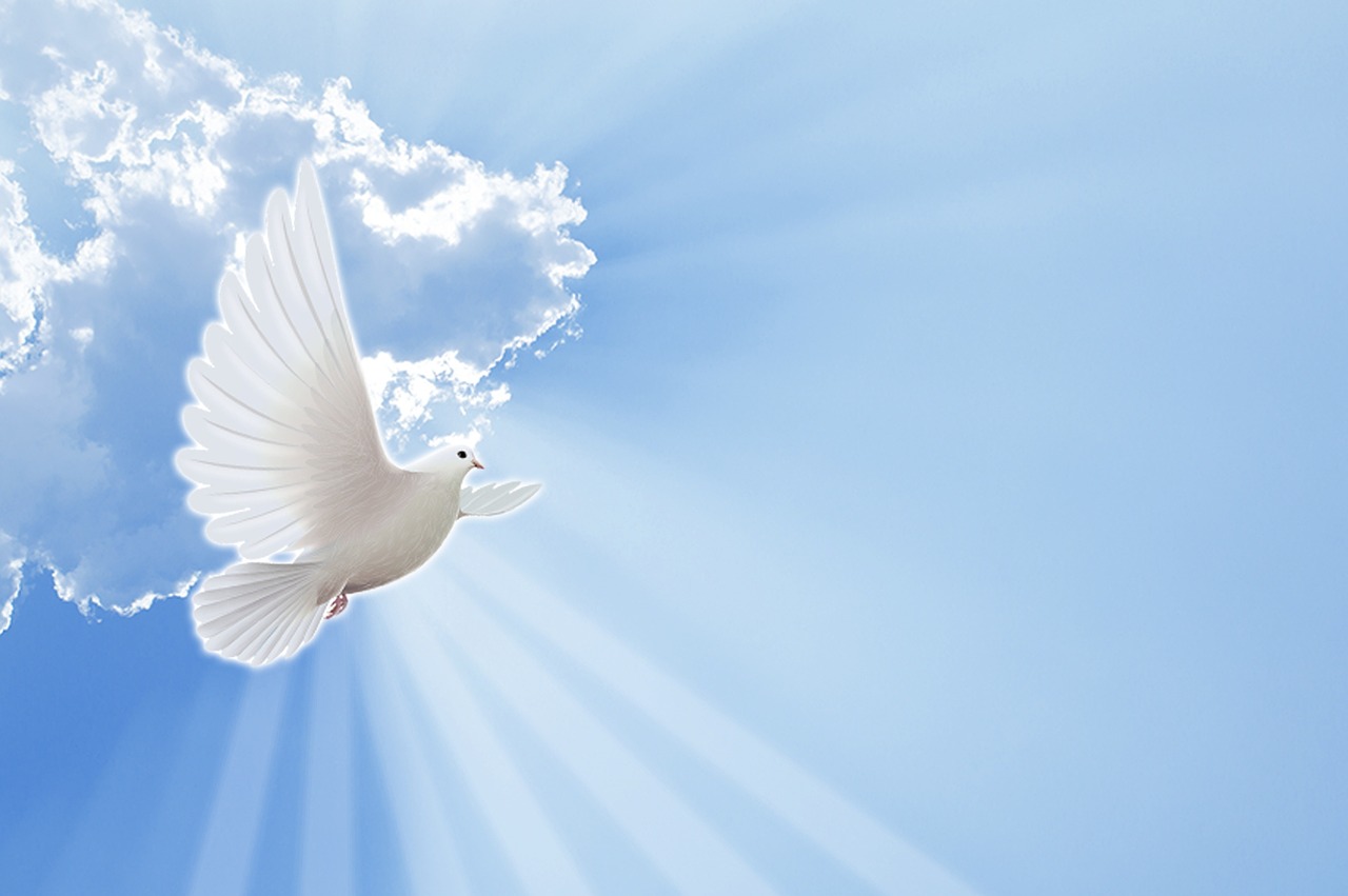 4.000+ kostenlose Gott & Jesus Fotos - Pixabay