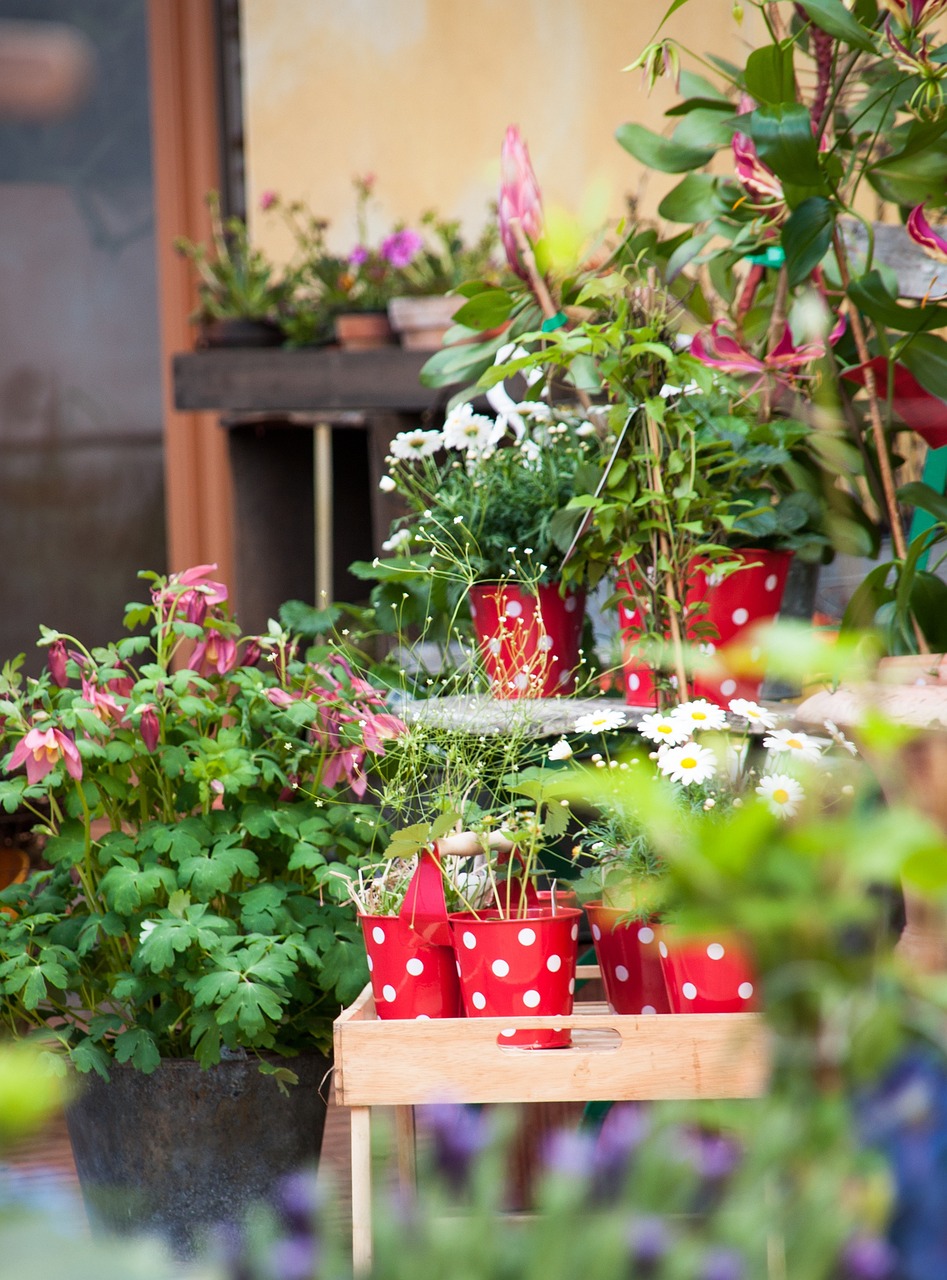 Garten Rot Pflanzen - Kostenloses Foto auf Pixabay - Pixabay
