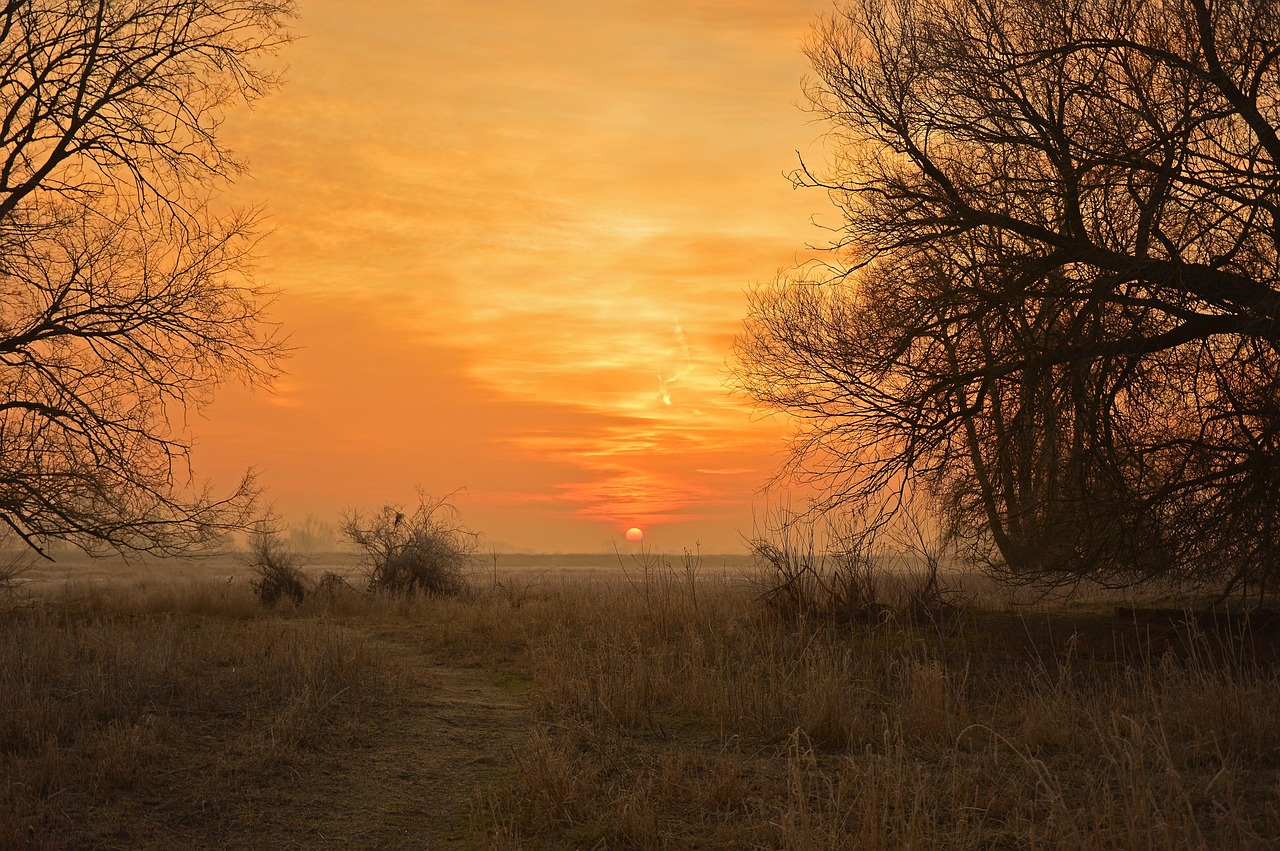 Sunrise Dawn Morning Mood - Free photo on Pixabay