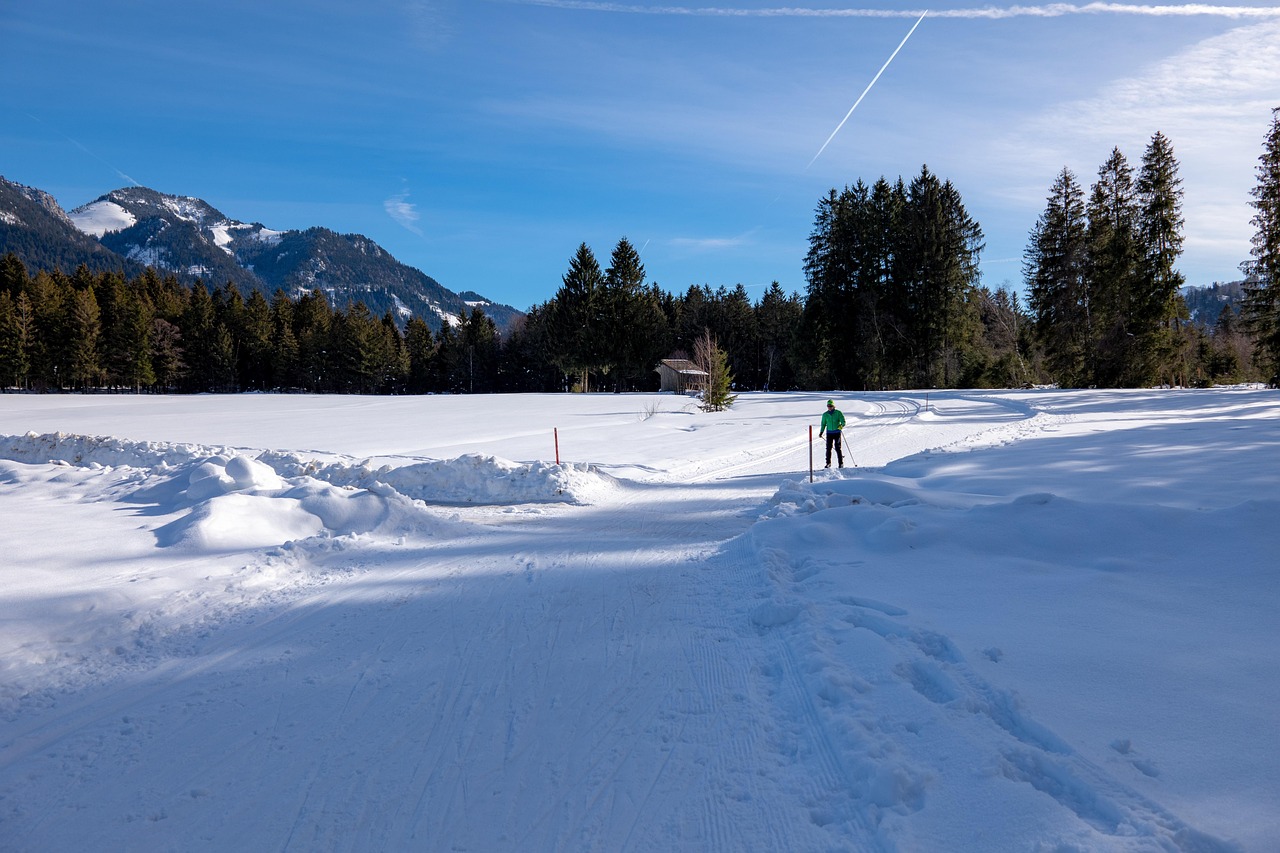 Cross-Country Skiing Snow Sense - Free photo on Pixabay - Pixabay