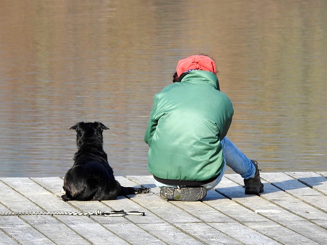 Human And Animal Friendship - Free photo on Pixabay - Pixabay