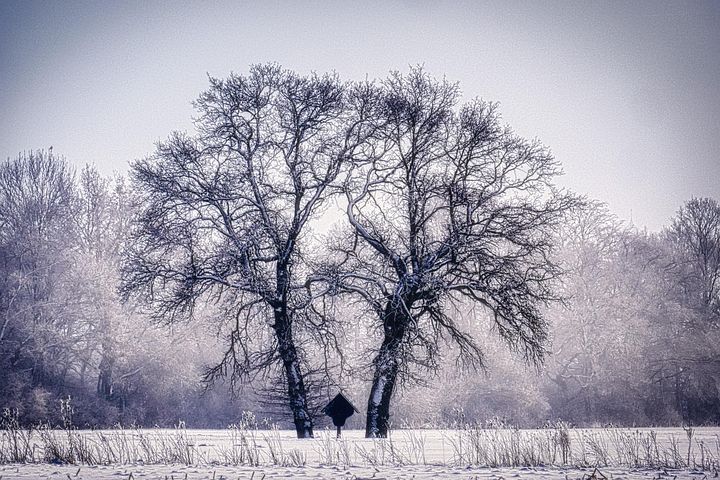500+ kostenlose Verschneiter Wald und Winterlandschaft-Bilder - Pixabay