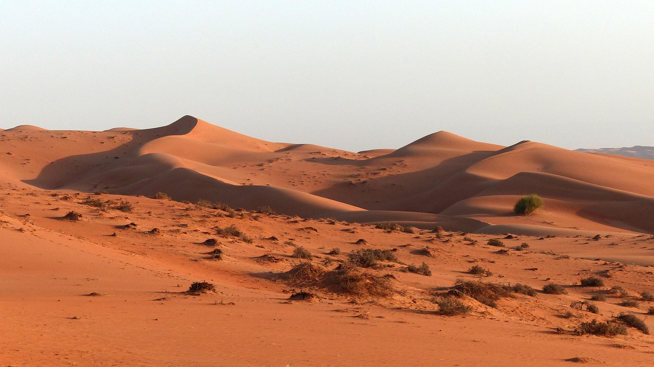 400+ Free Oman & Nature Images - Pixabay