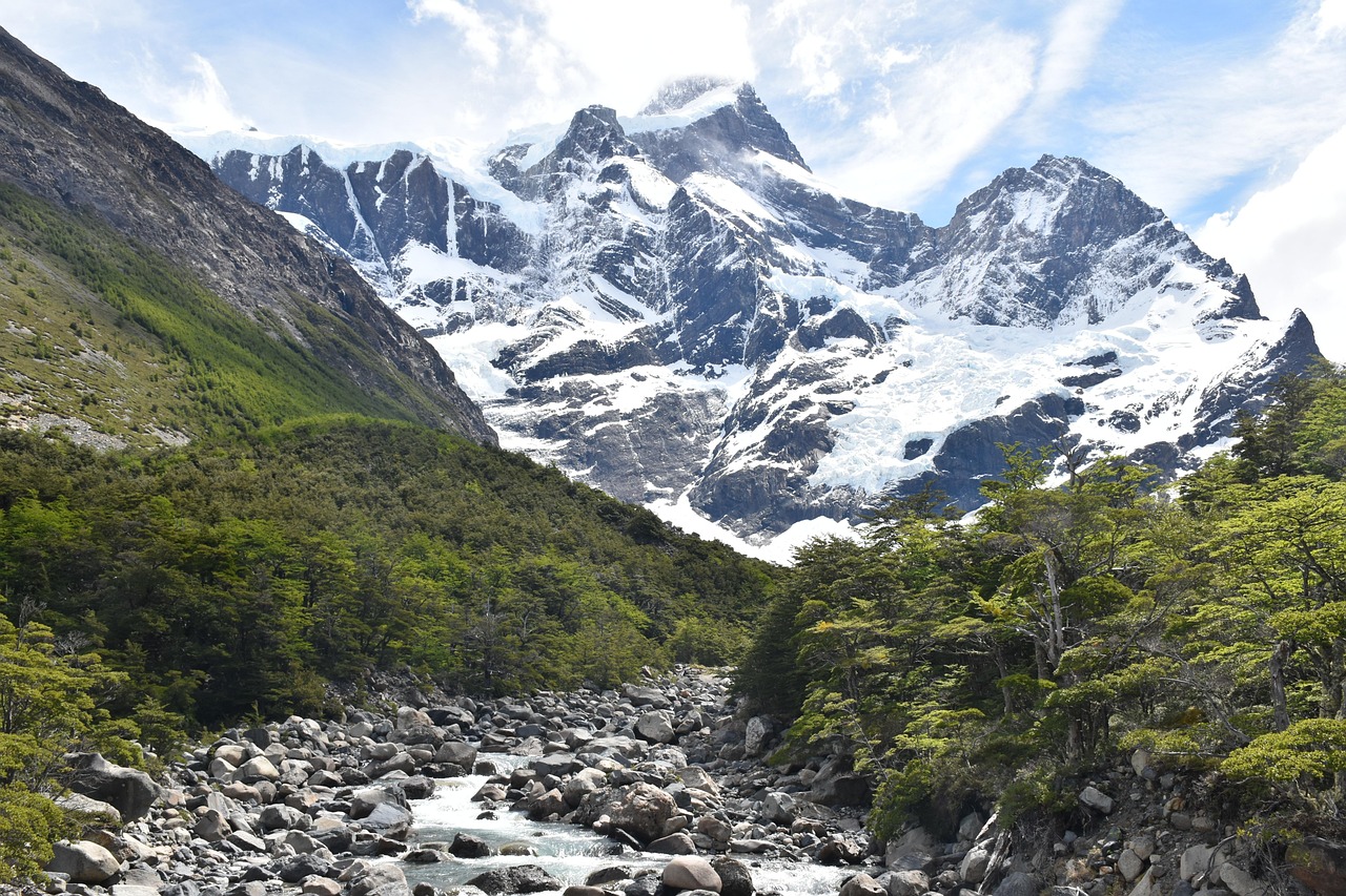 Patagonia Torres Del Paine Parque - Foto gratis en Pixabay - Pixabay