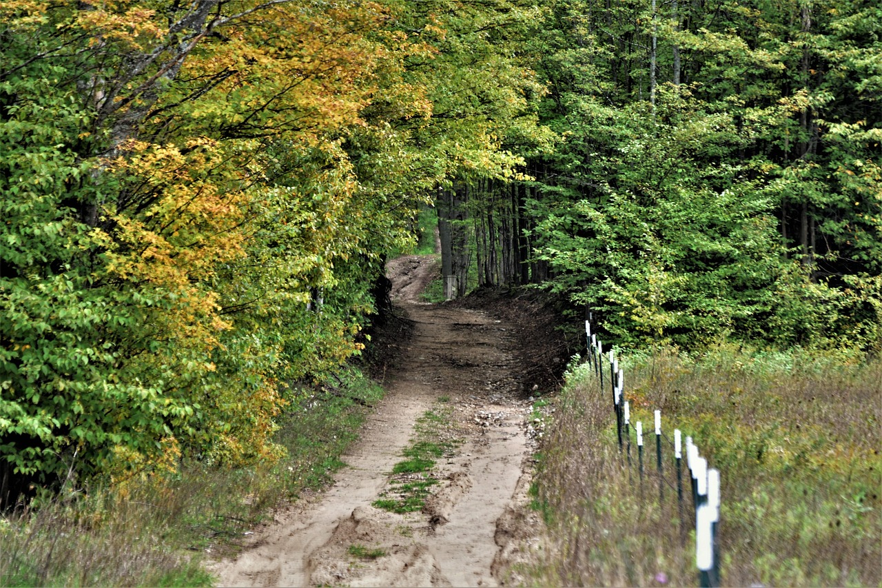 Country Road Nature - Free photo on Pixabay