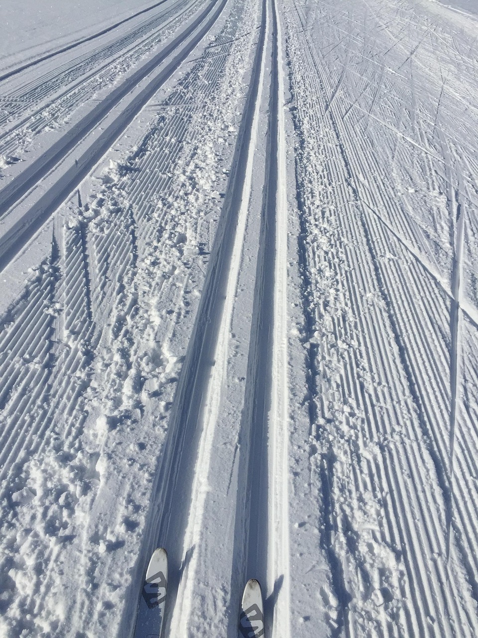Snow Cross-Country Ski Run - Free photo on Pixabay - Pixabay