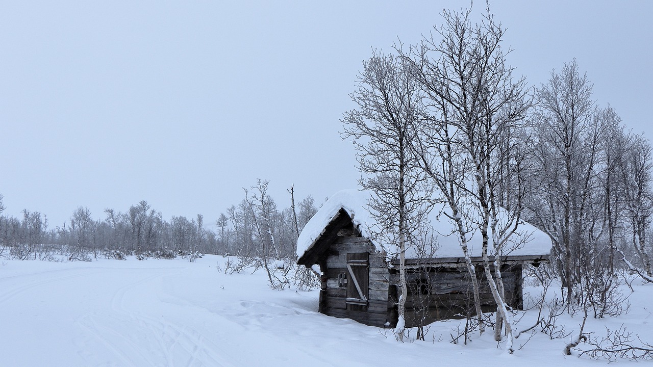 Norway Winter Snow - Free photo on Pixabay - Pixabay