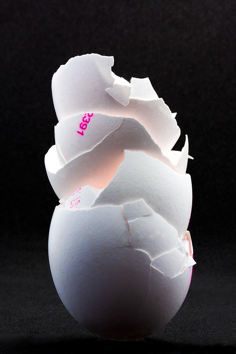 Egg Shell Eggshell - Free photo on Pixabay