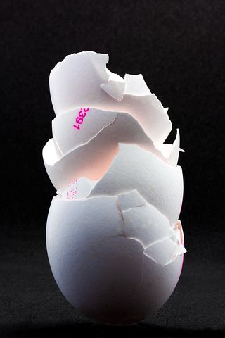 200+ Free Egg Shell & Egg Photos - Pixabay