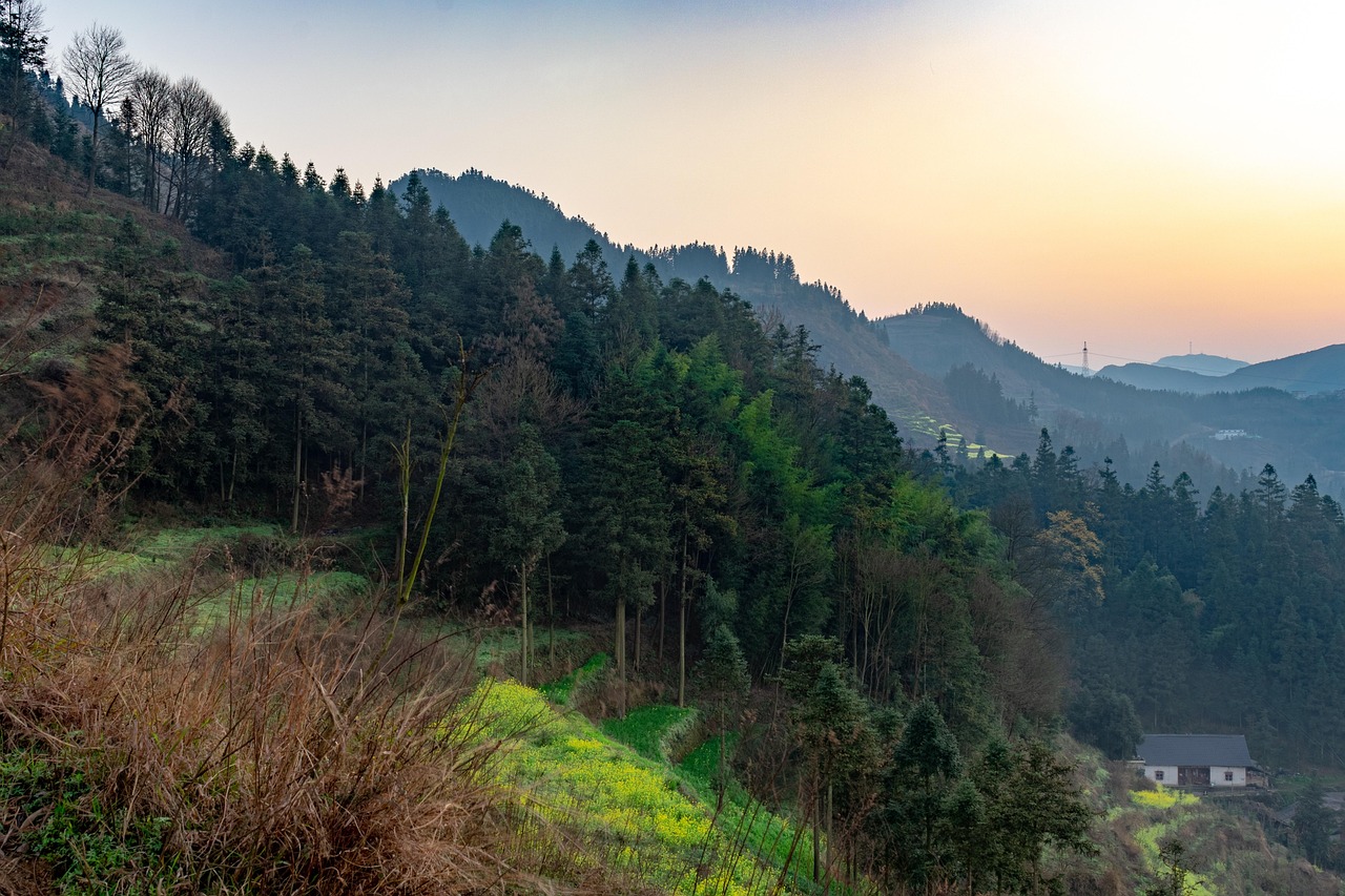 800+ Free Hillside & Nature Images - Pixabay