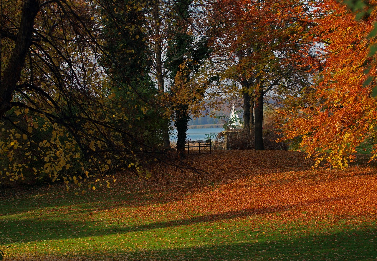Park Fall Nature - Free photo on Pixabay - Pixabay