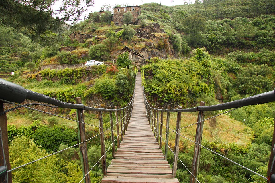 Bridge Natural Landscape - Free photo on Pixabay - Pixabay