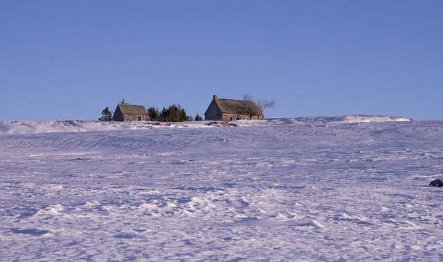 Franciaország Aubrac Farm - Ingyenes fotó a Pixabay-en - Pixabay