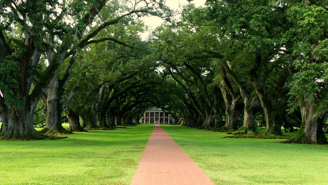 Plus de 300 images de Louisiana et de Louisiane - Pixabay