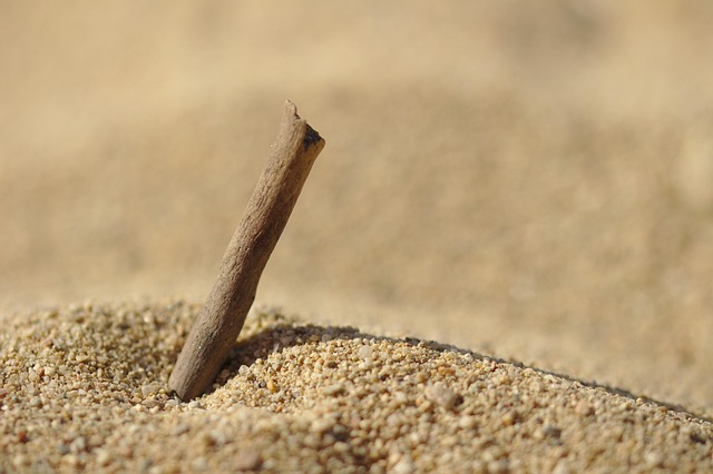 Sand Big Beach - Free photo on Pixabay - Pixabay