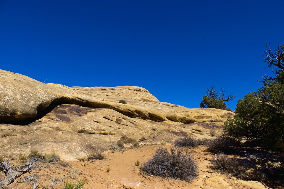 Slick Rock Arenisca Rastro Parque - Foto gratis en Pixabay