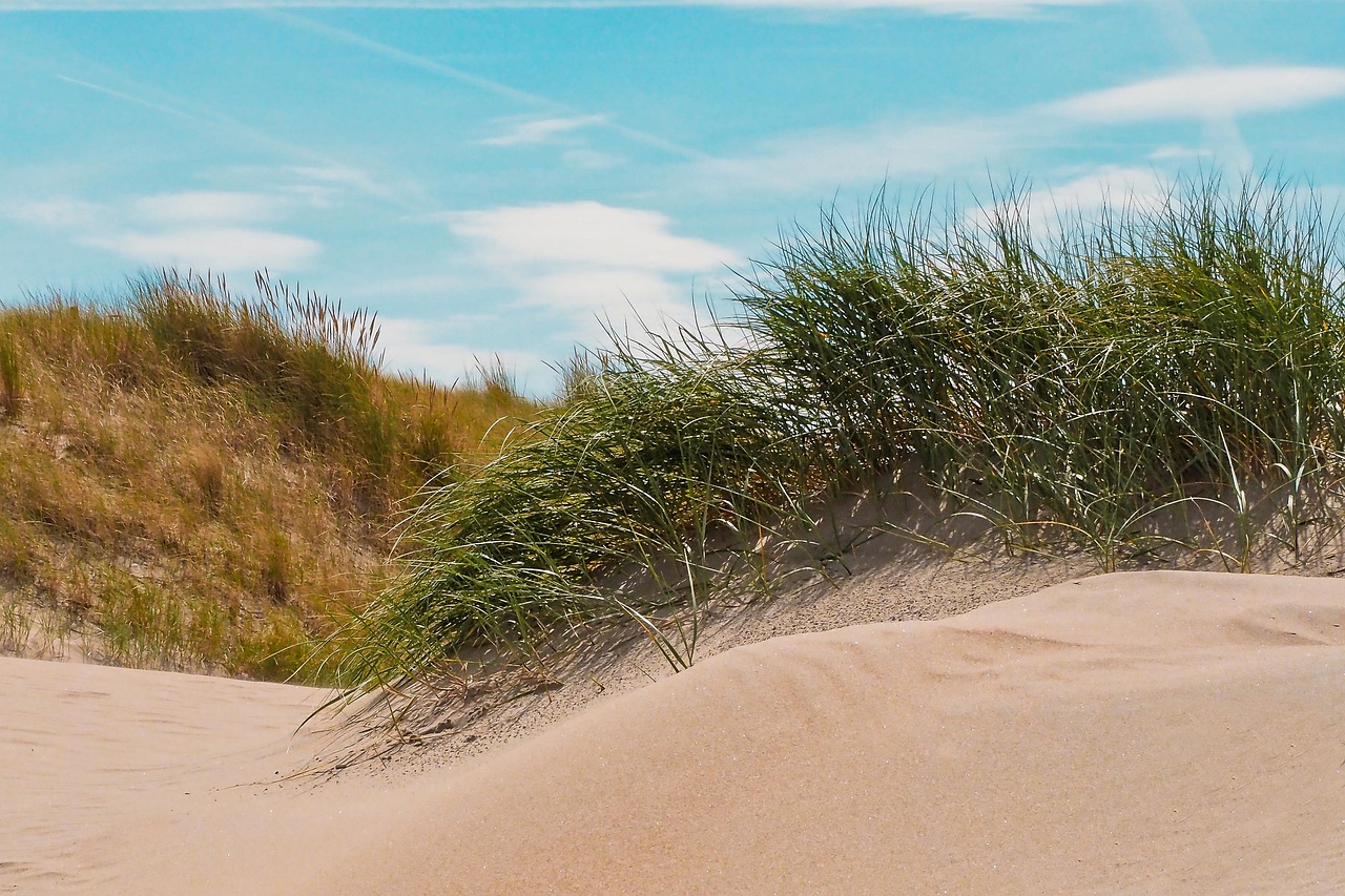 1,000+ Free Sand Dunes Beach & Beach Images - Pixabay