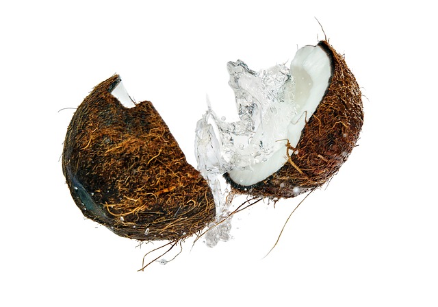 Coconut Explosion Split - Free photo on Pixabay - Pixabay