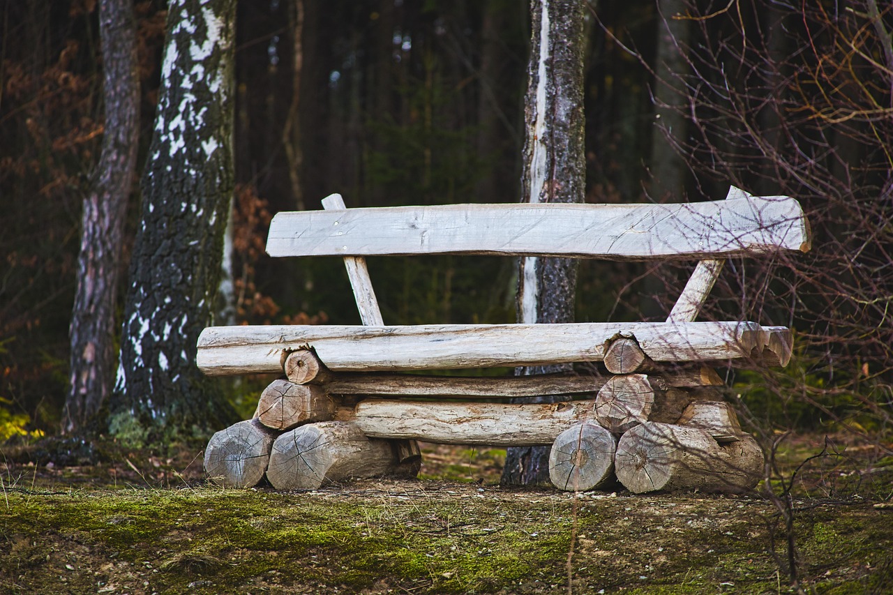Bank Forest Fall - Free photo on Pixabay - Pixabay
