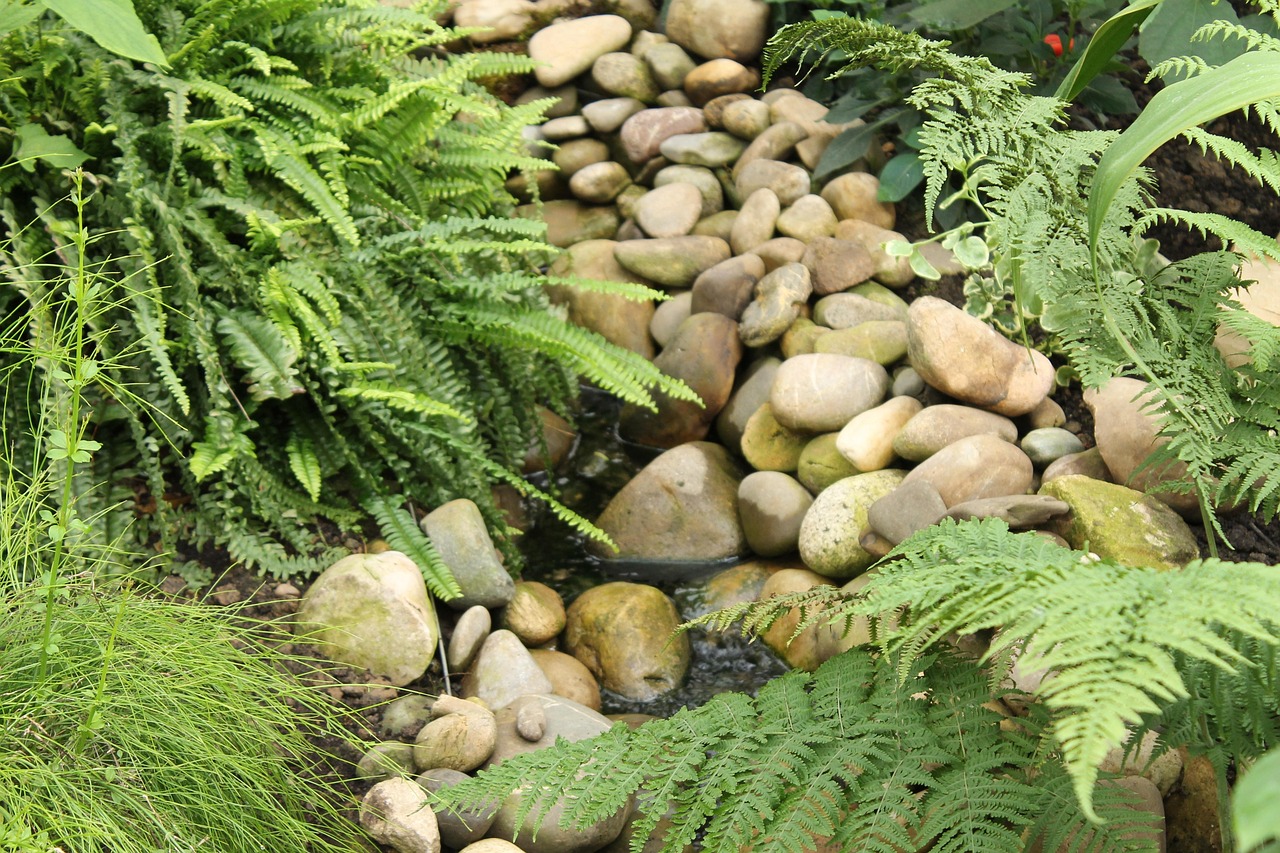 Nature Rainforest Rocks - Free photo on Pixabay