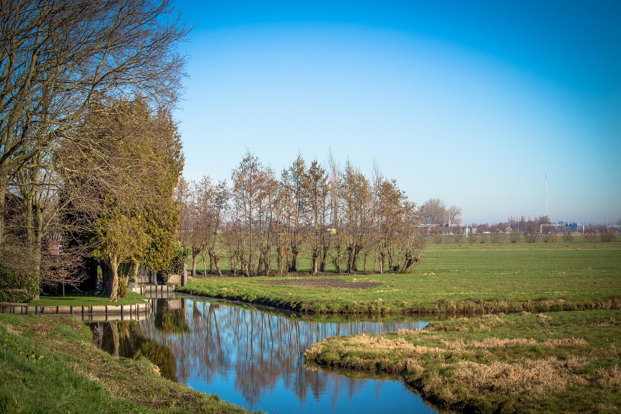 Netherlands Ditch Pasture - Free photo on Pixabay