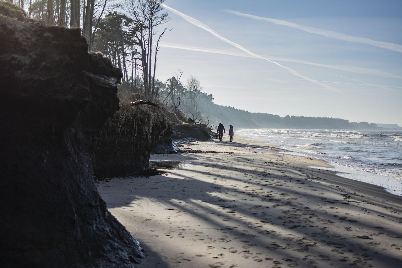 20,000+ Free Chill Morning & Morning Images - Pixabay