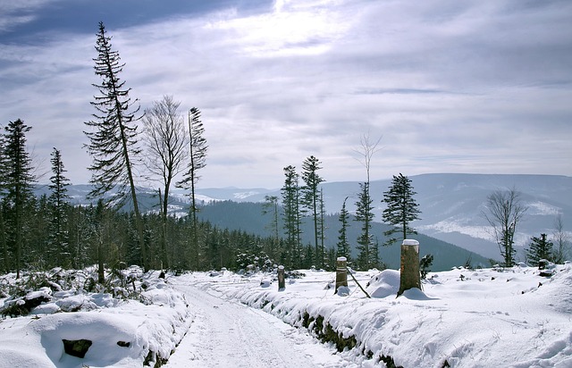 Inverno Montanhas Neve - Foto gratuita no Pixabay - Pixabay