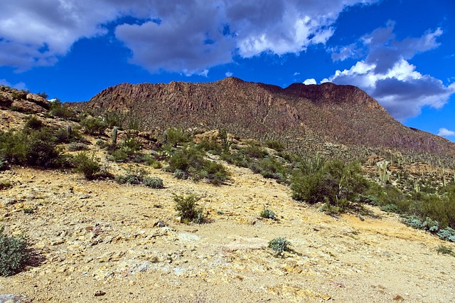 Tucson Mountain Park Deserto - Foto gratuita no Pixabay - Pixabay