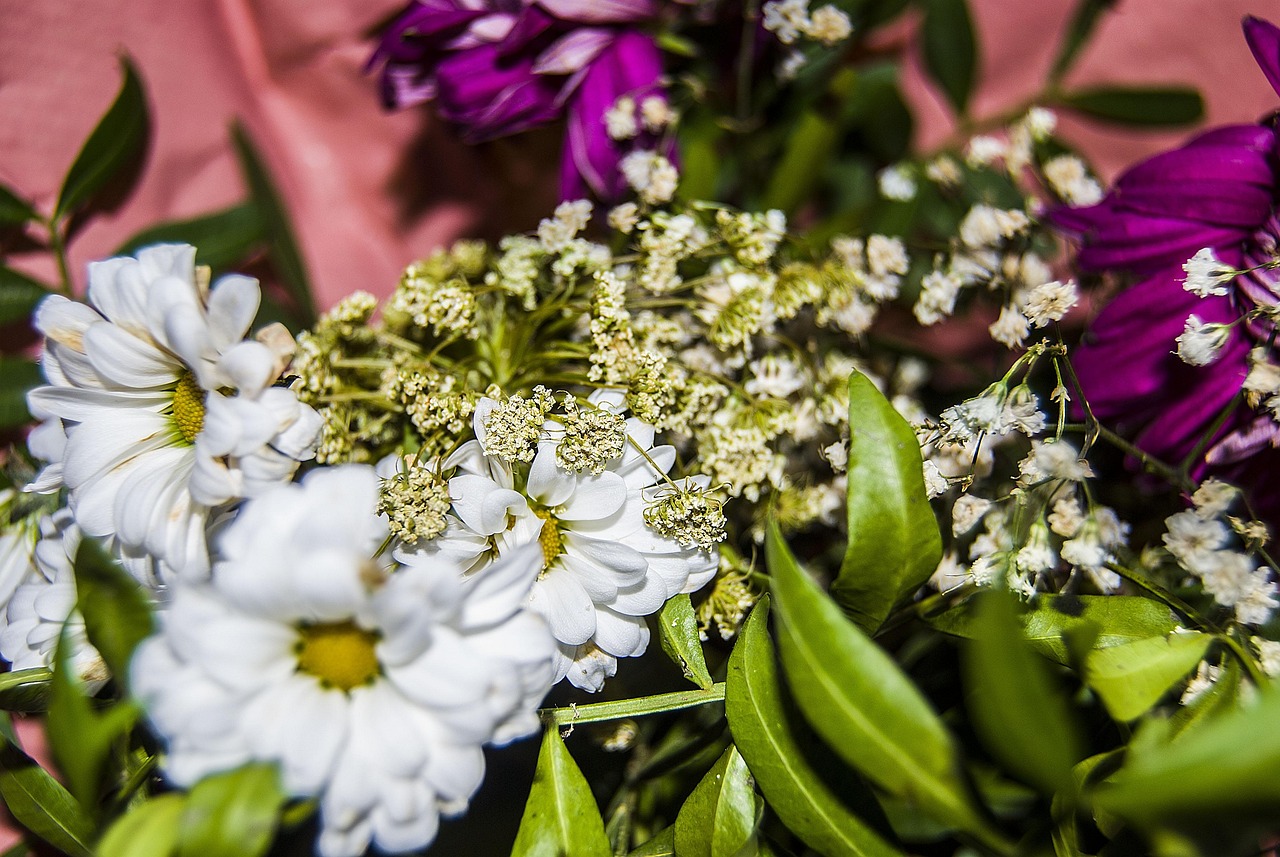 Flores Natureza Primavera - Foto gratuita no Pixabay - Pixabay