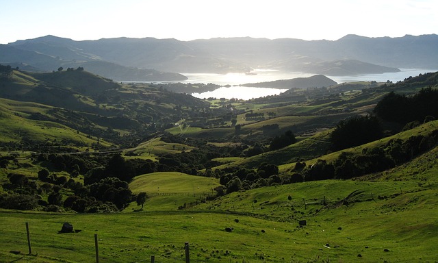 New Zealand Hills Vista - Free photo on Pixabay - Pixabay