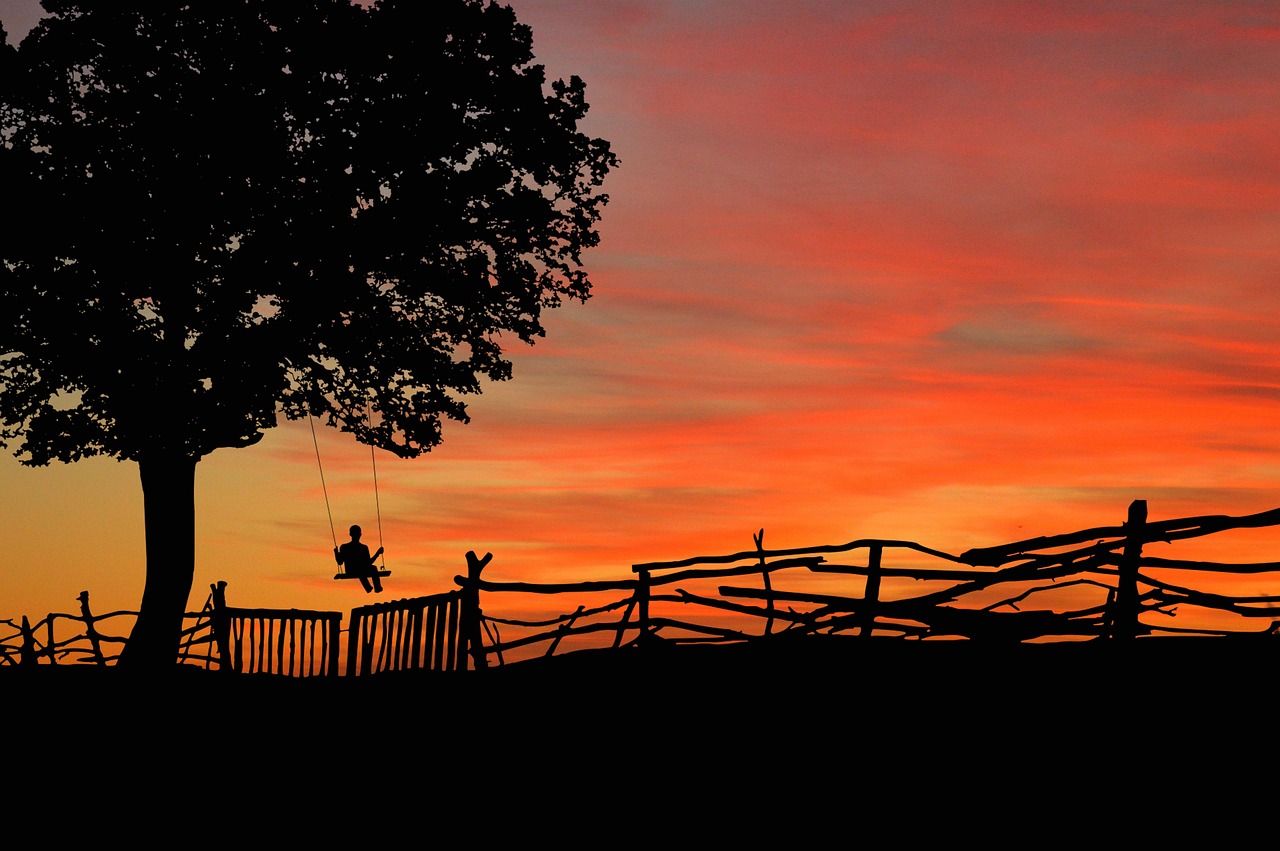 Sunset Silhouette Freedom - Free photo on Pixabay - Pixabay