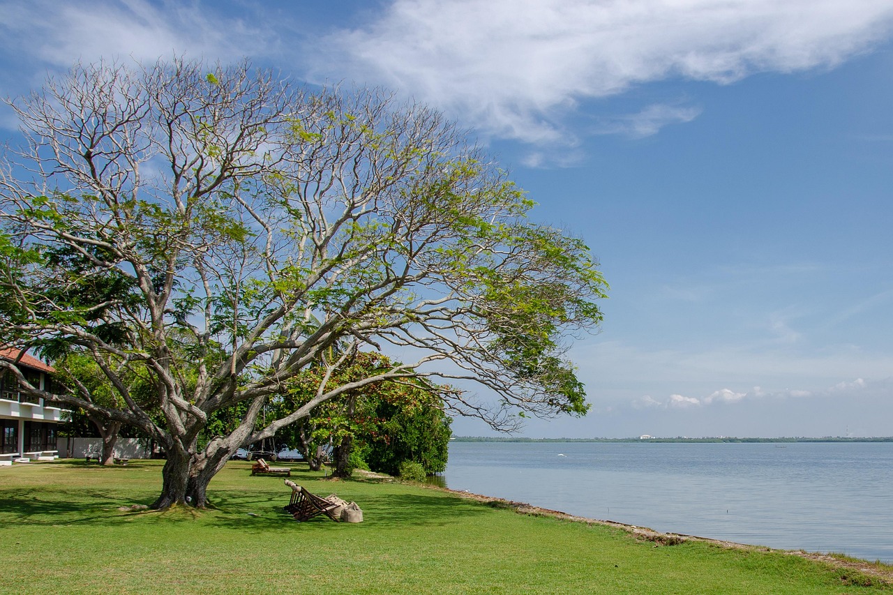 Lake Calm Relaxing - Free photo on Pixabay