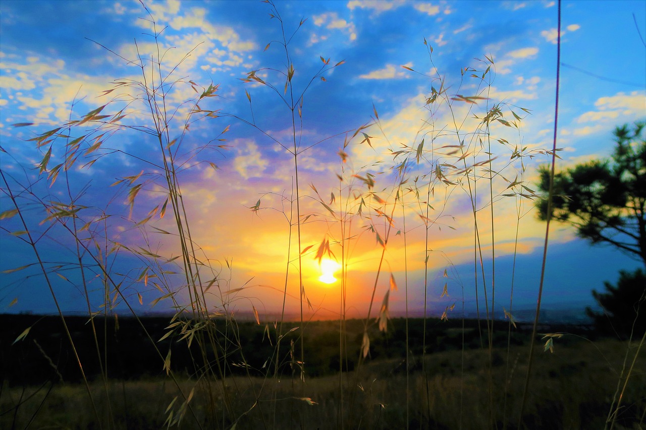 Sunset Evening Sun - Free photo on Pixabay - Pixabay