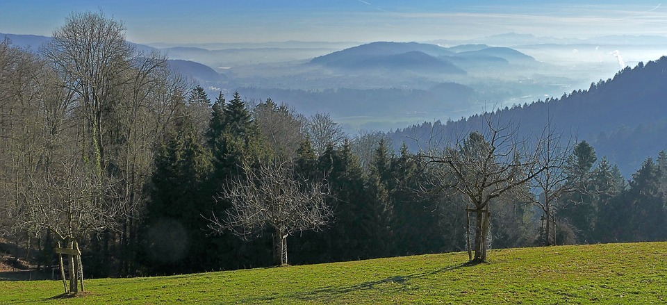 Landskap Natur Kulle - Gratis foto på Pixabay