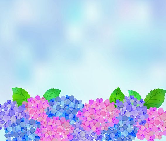 70+ Free Sunshine Background & Sunshine Illustrations
